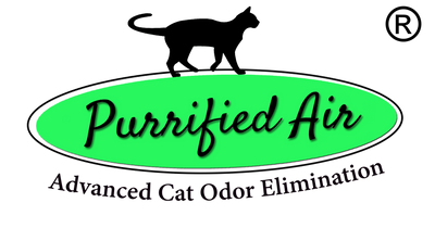 How to get rid of cat smell in your house? – Purrified Air®