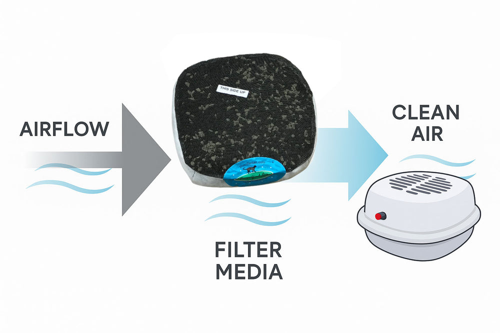 Air Purifier for Cat Litter Box | Pet Odor – Purrified Air®